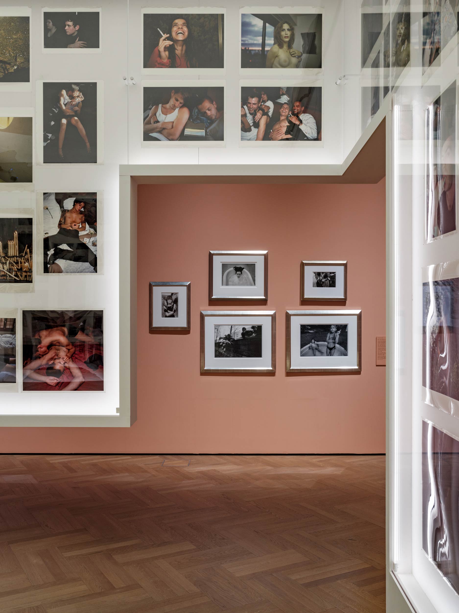 V&A Fragile Beauty - EBBA : EBBA