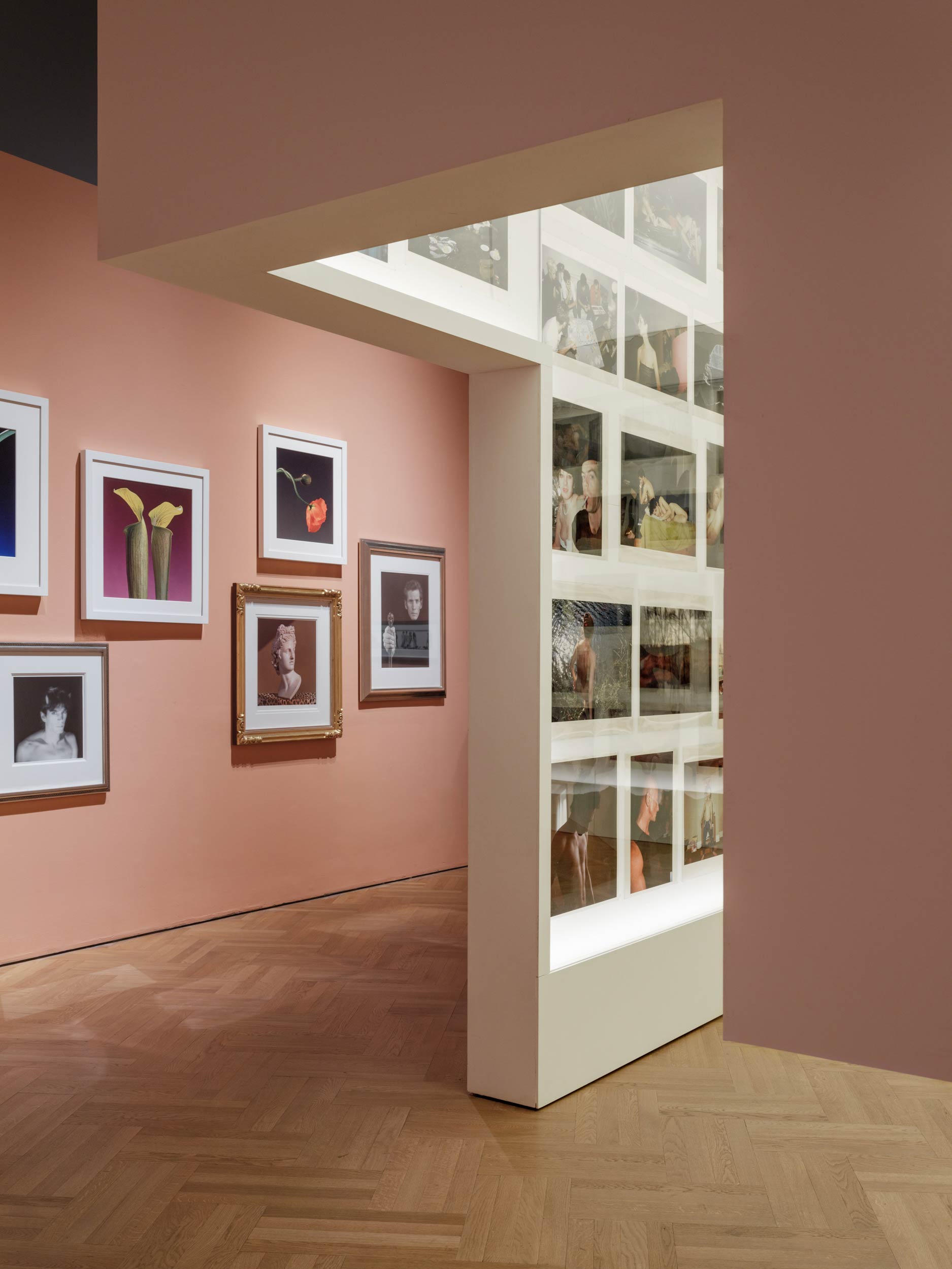 V&A Fragile Beauty - EBBA : EBBA